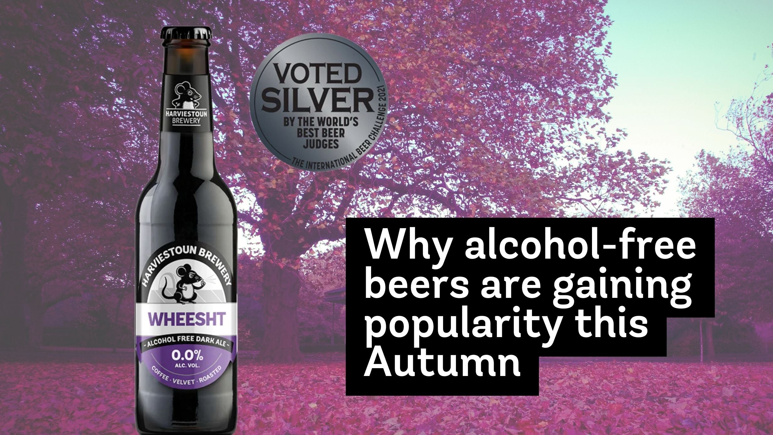 Why Alcohol-Free Beers Are Gaining Popularity This Autumn – Harviestoun ...